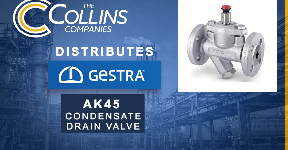 Gestra AK45 Condensate Drain Valve - The Collins Companies